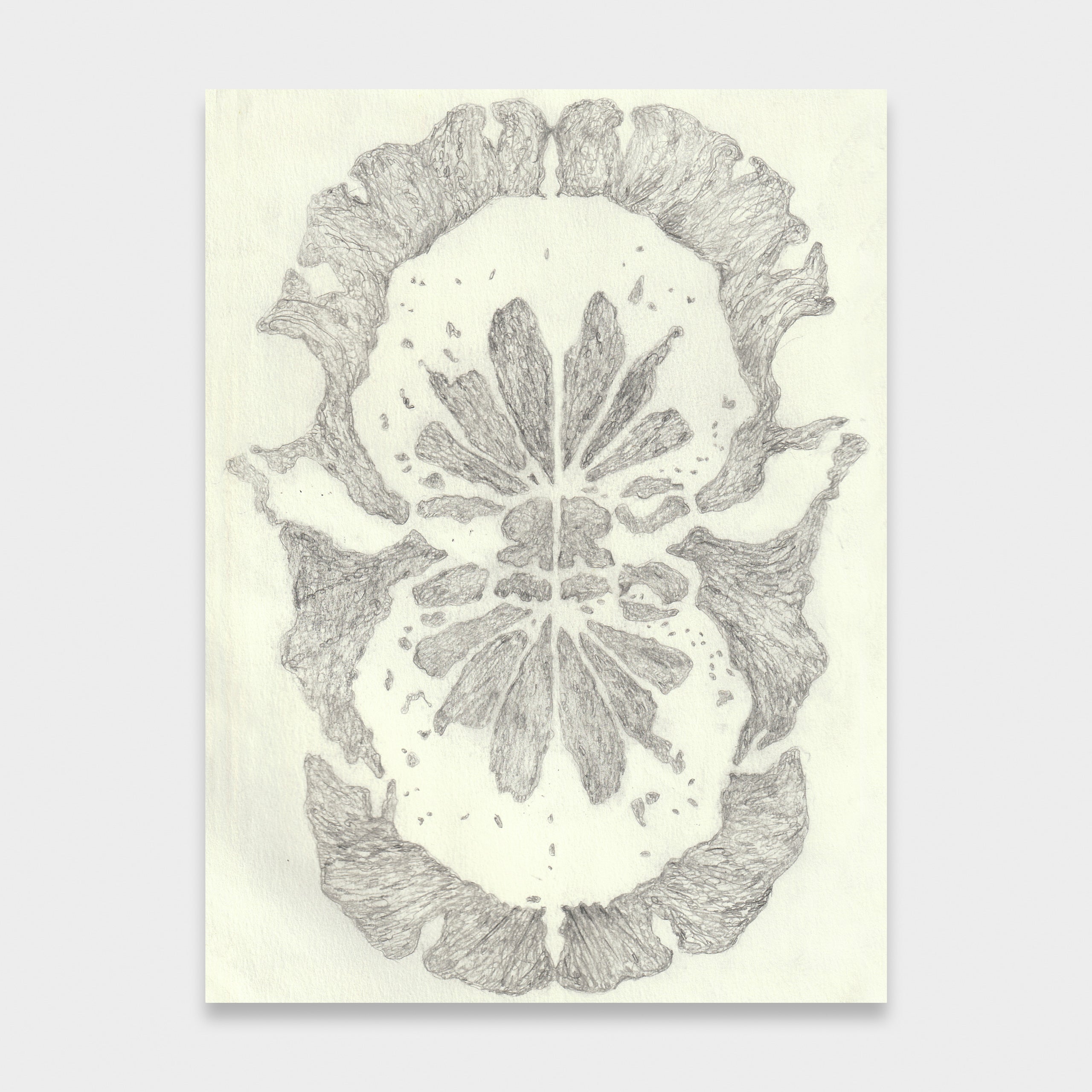 Contemporary Art and Design Pieces Online — OCHI Shop