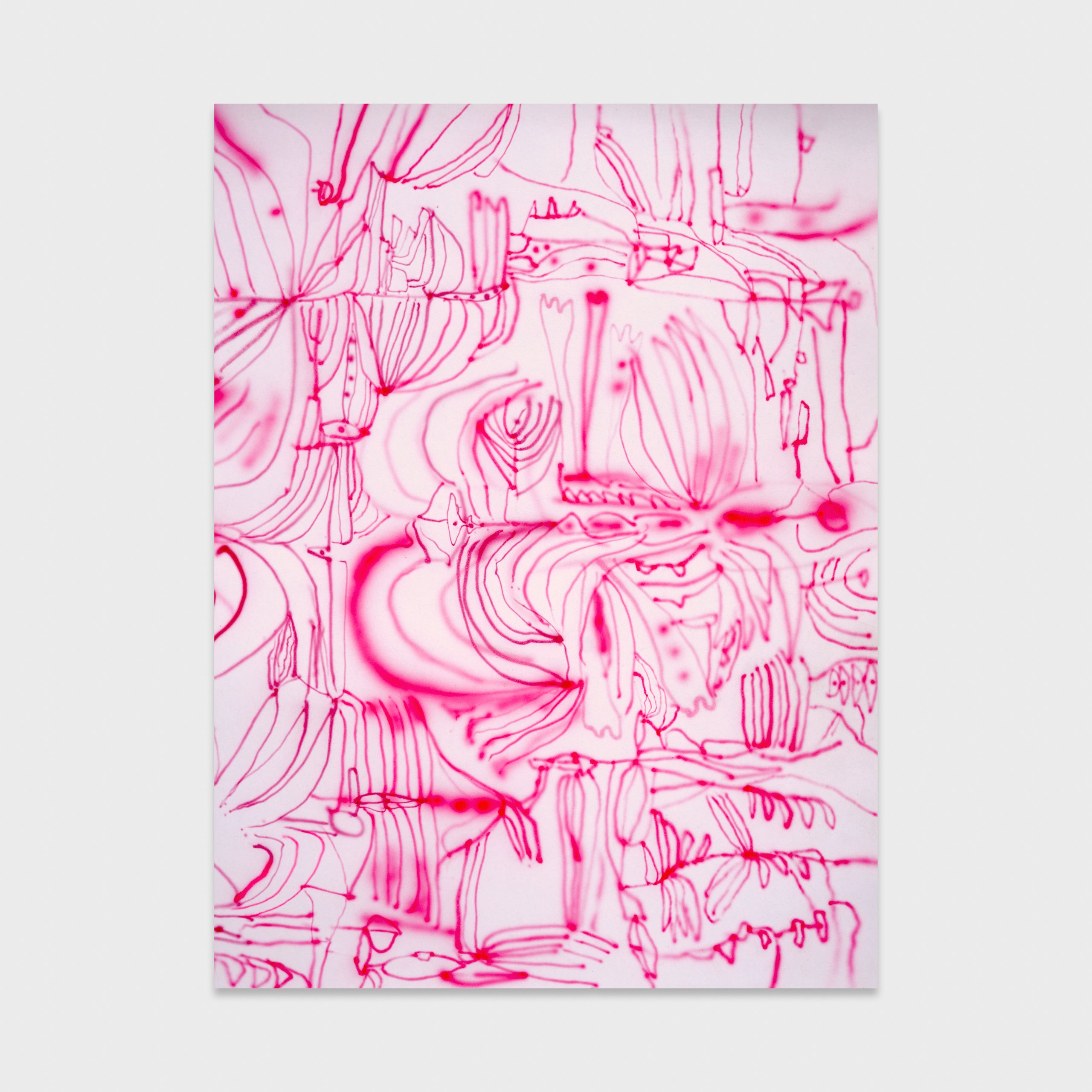 Ghost Orchid by Sarah Giannobile | Art at Ochi Shop – OCHI